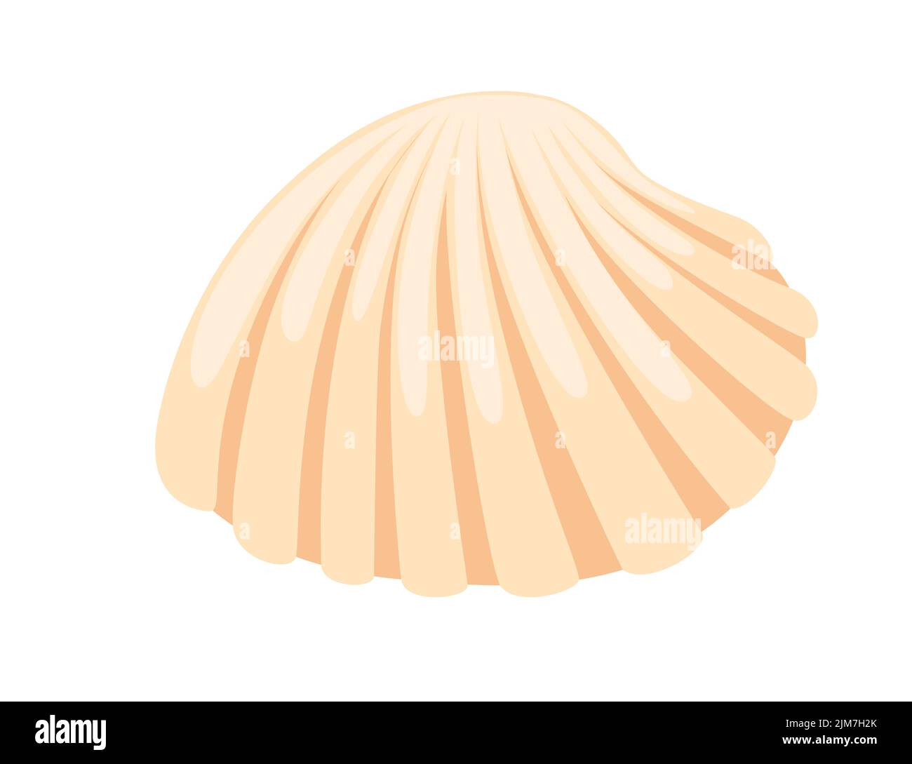 Colorful tropical underwater shell cartoon design vector illustration ...