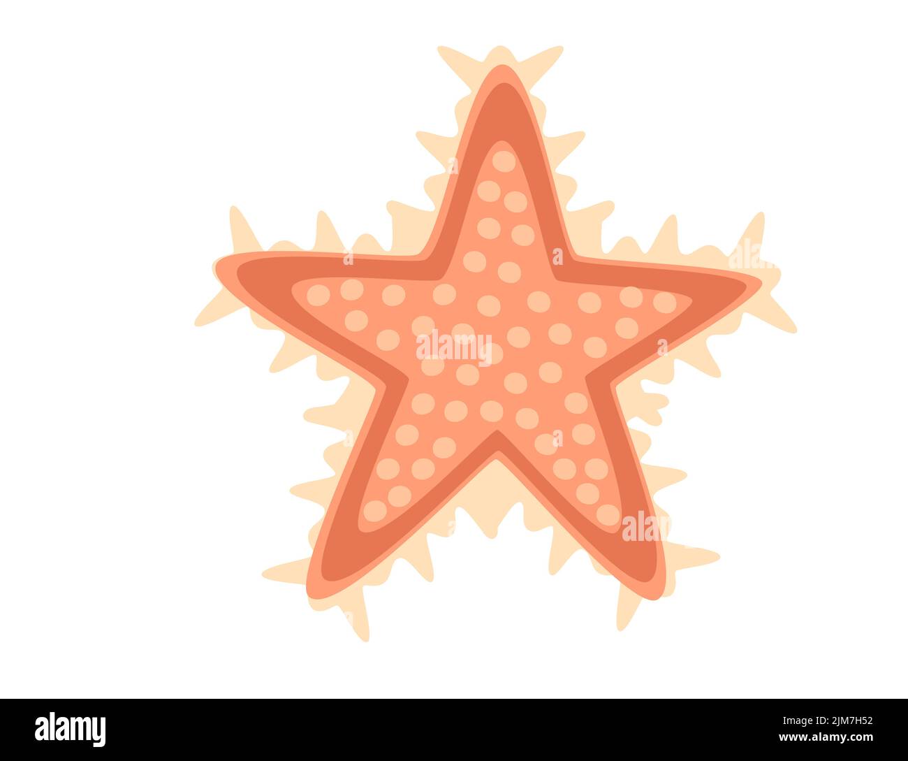 Colorful tropical underwater shell cartoon design vector illustration ...