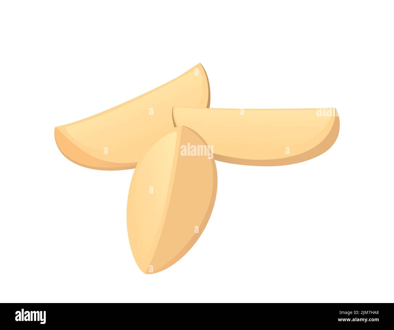 Three slices of potato vector illustration isolated on white background ...