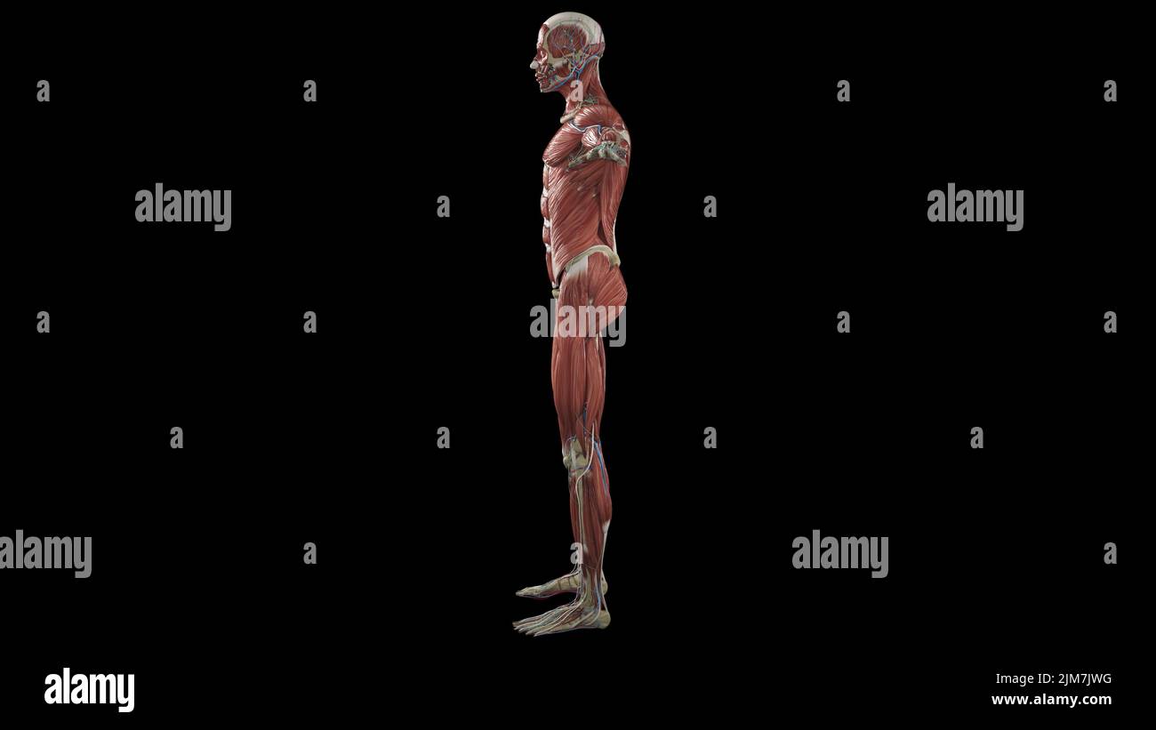 Realistic 3d visualization hi-res stock photography and images - Alamy