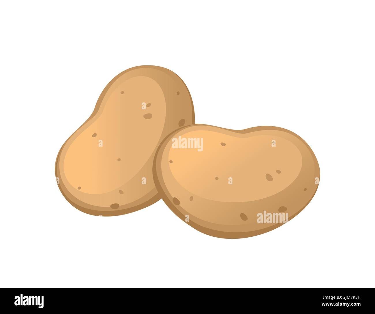 Fresh raw unpeeled potatoes vector illustration isolated on white ...