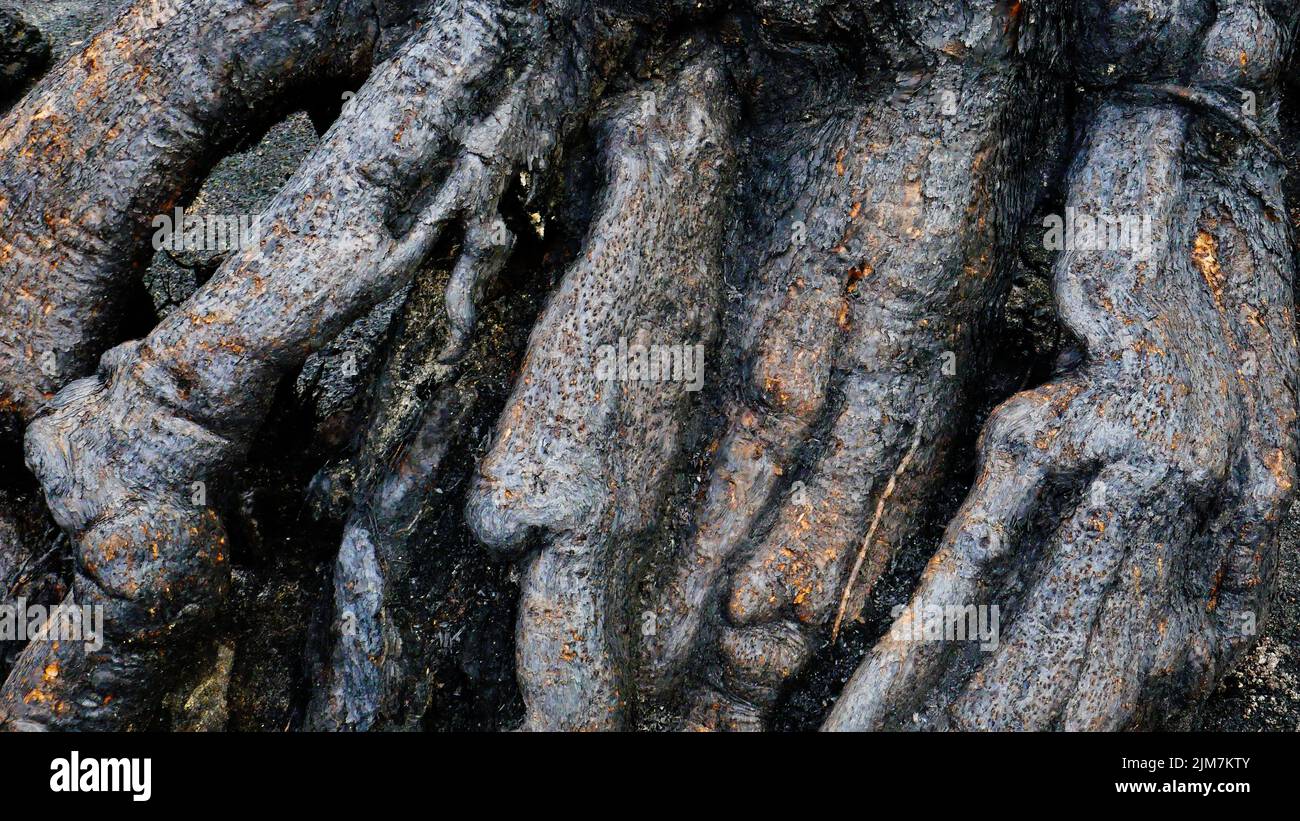 Gnarled burnt trees in Goblin Swamp Stock Photo - Alamy