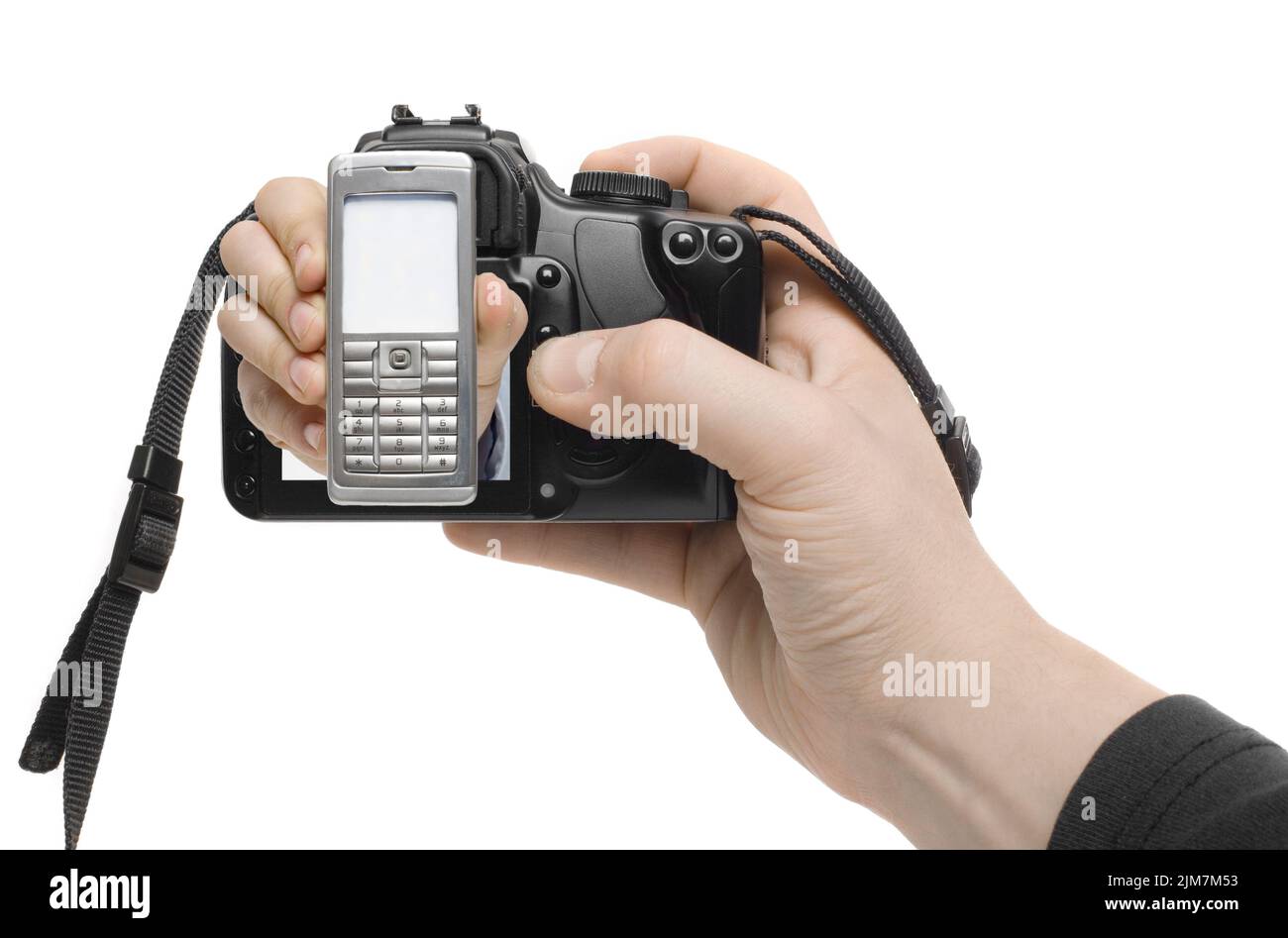 Shoot cell hi-res stock photography and images - Alamy