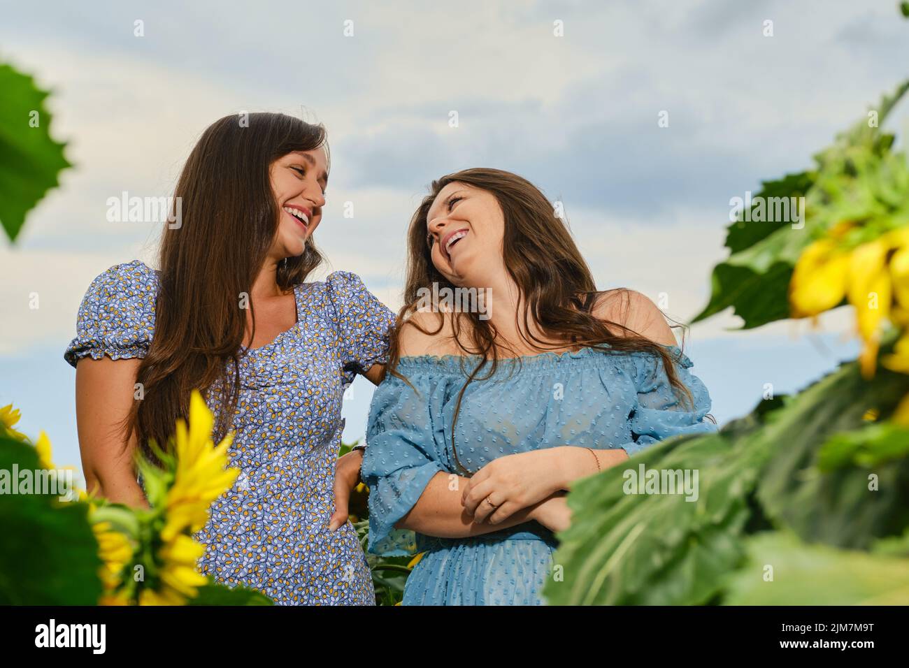 Two happy women laughing on corn field Stock Photo - Alamy
