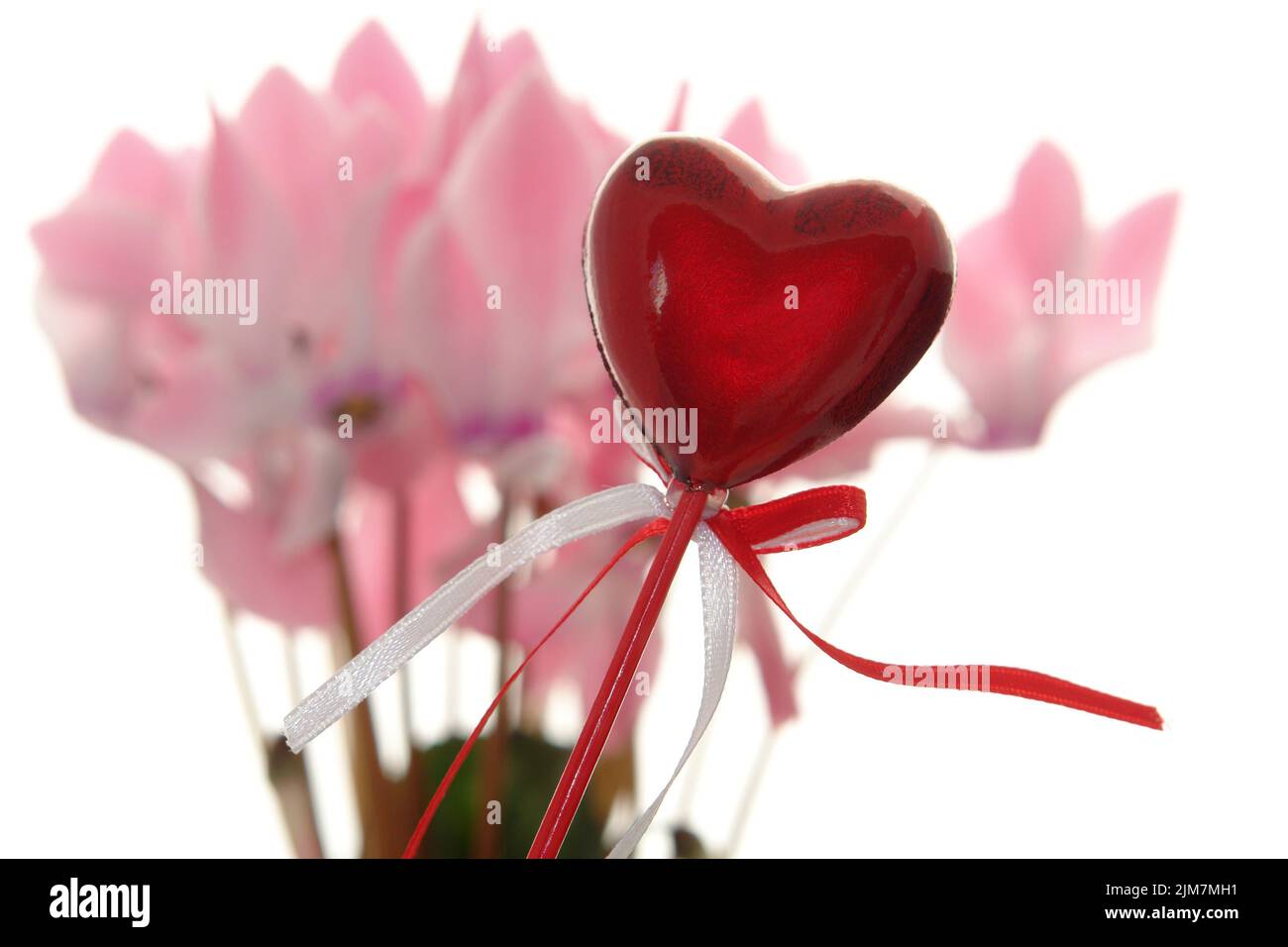 Mother day flower Cut Out Stock Images & Pictures - Alamy