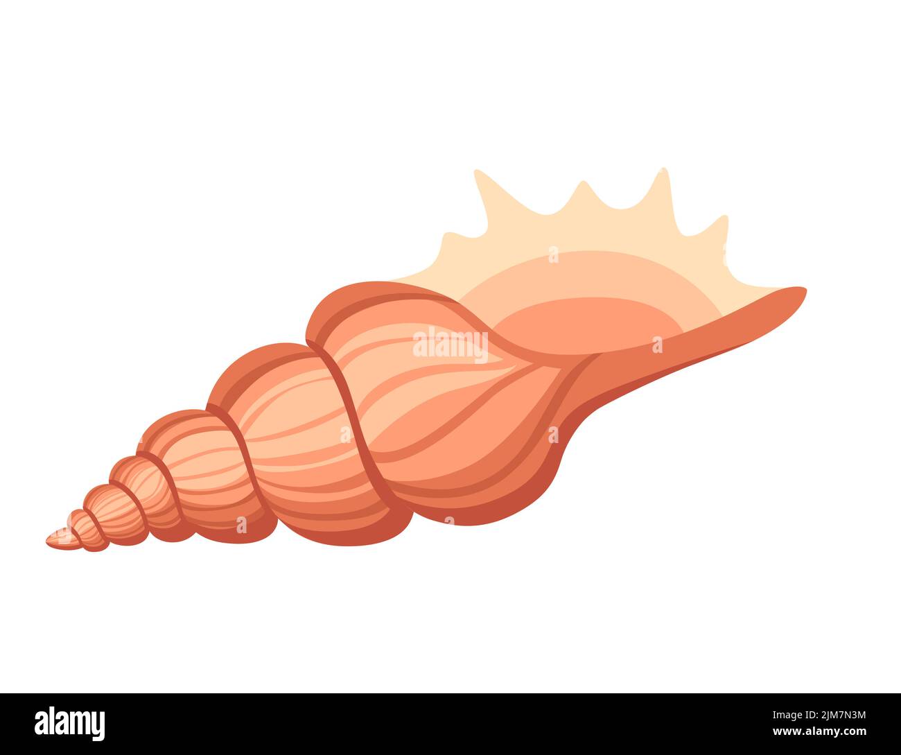 Colorful tropical underwater shell cartoon design vector illustration ...