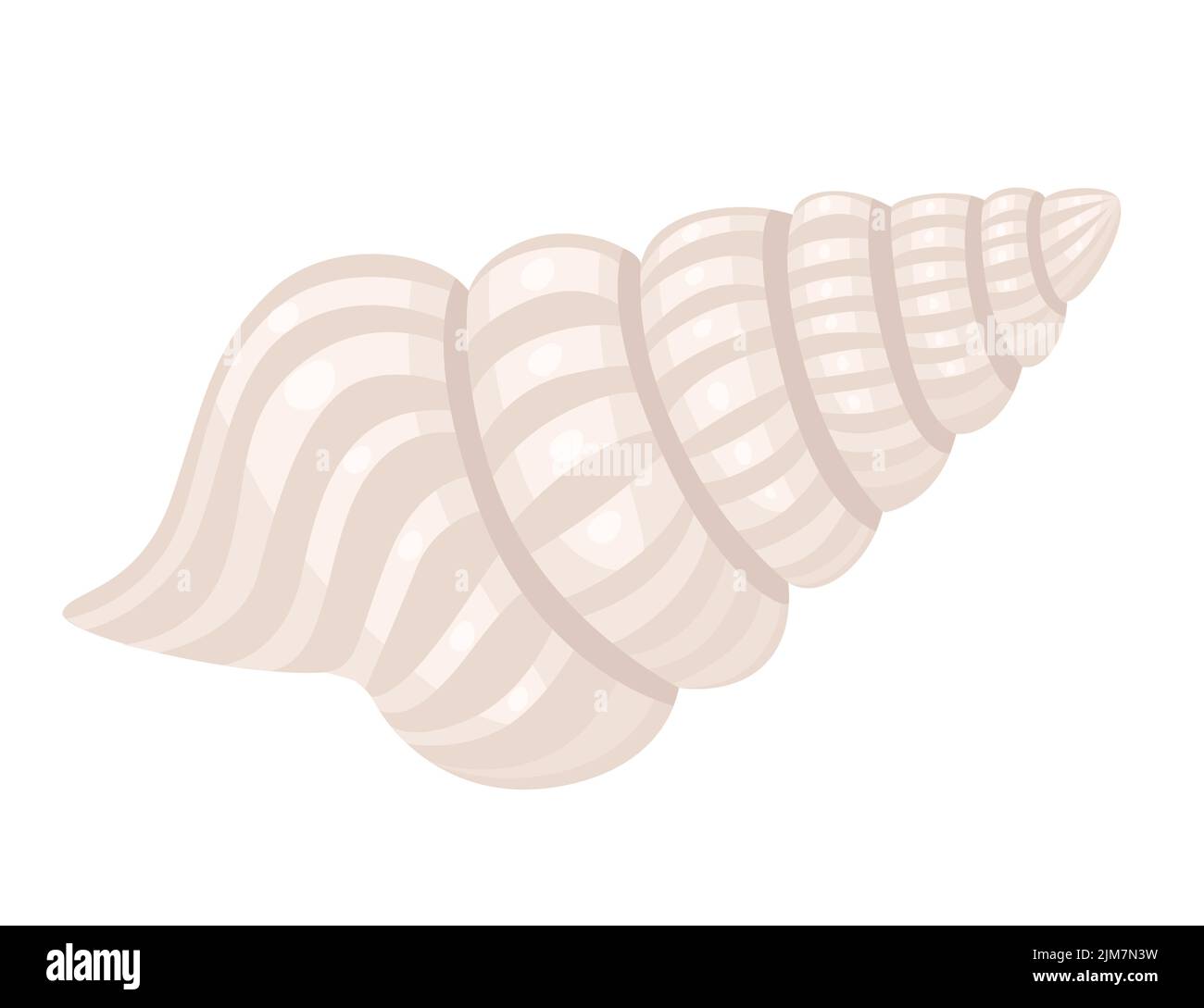 Colorful tropical underwater shell cartoon design vector illustration ...
