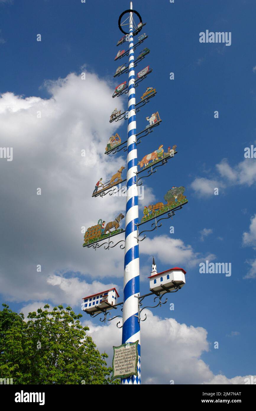 Maibaum tree hi-res stock photography and images - Alamy