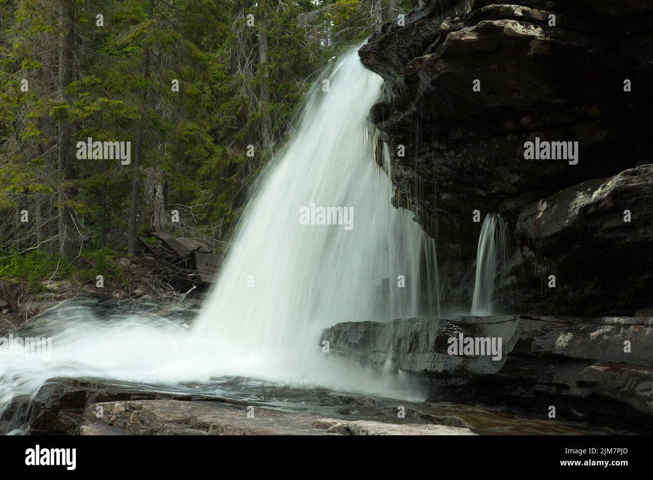 Waterfall in the woodland, mountain. Rocks and cliffs, forest, and ...
