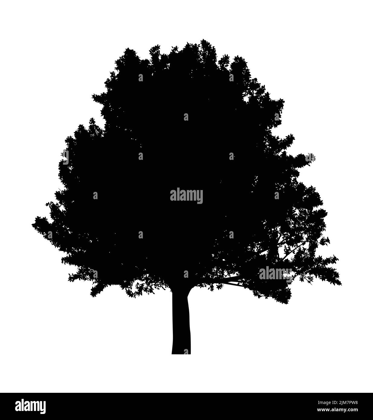 detailed tree silhouette vector image isolated on white background ...