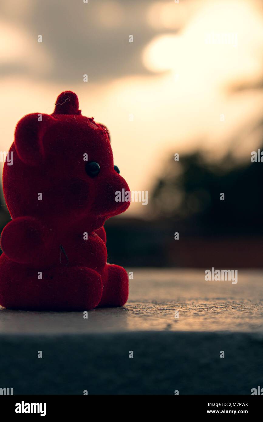 The teddy bear at the sunset in silhouette Stock Photo - Alamy