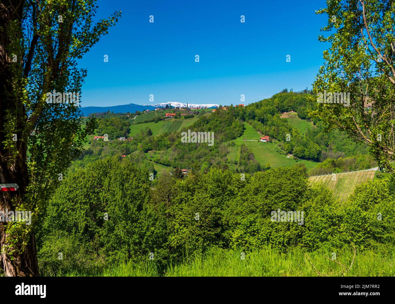 An aerial view of scattered buildings in a rural area surrounded by ...
