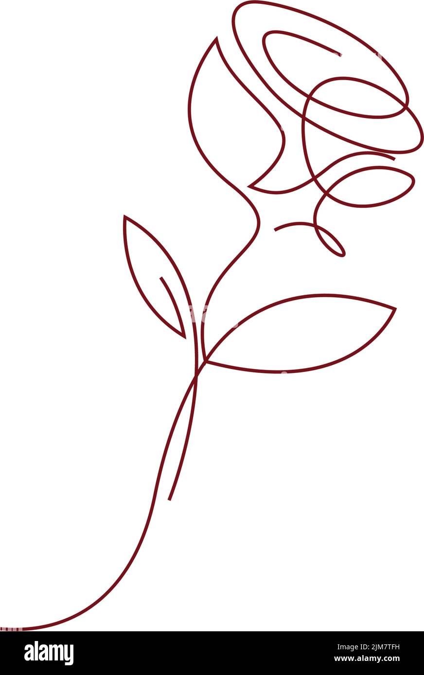 Red rose line art design illustration template Stock Vector Image & Art ...