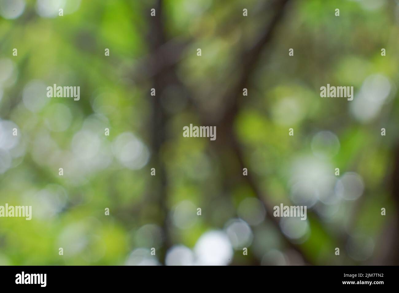 Blurry environment hi-res stock photography and images - Alamy