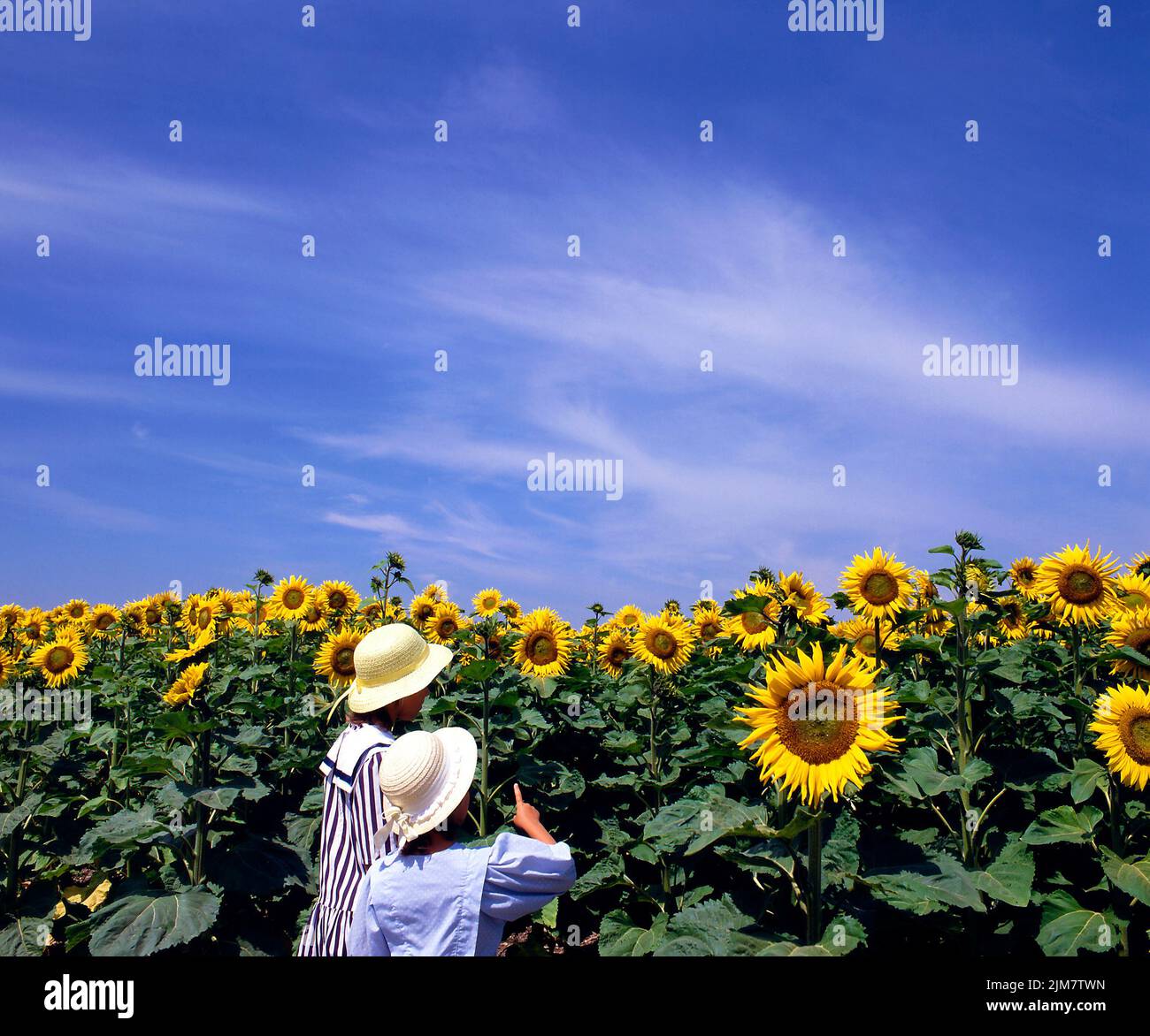 Sun maid girl hi-res stock photography and images - Alamy