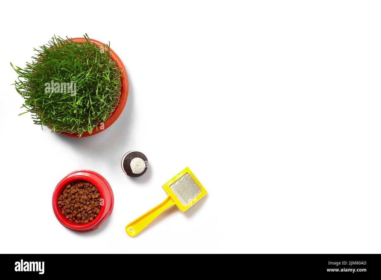 Flat lay composition with accessories for a cat isolated on white ...
