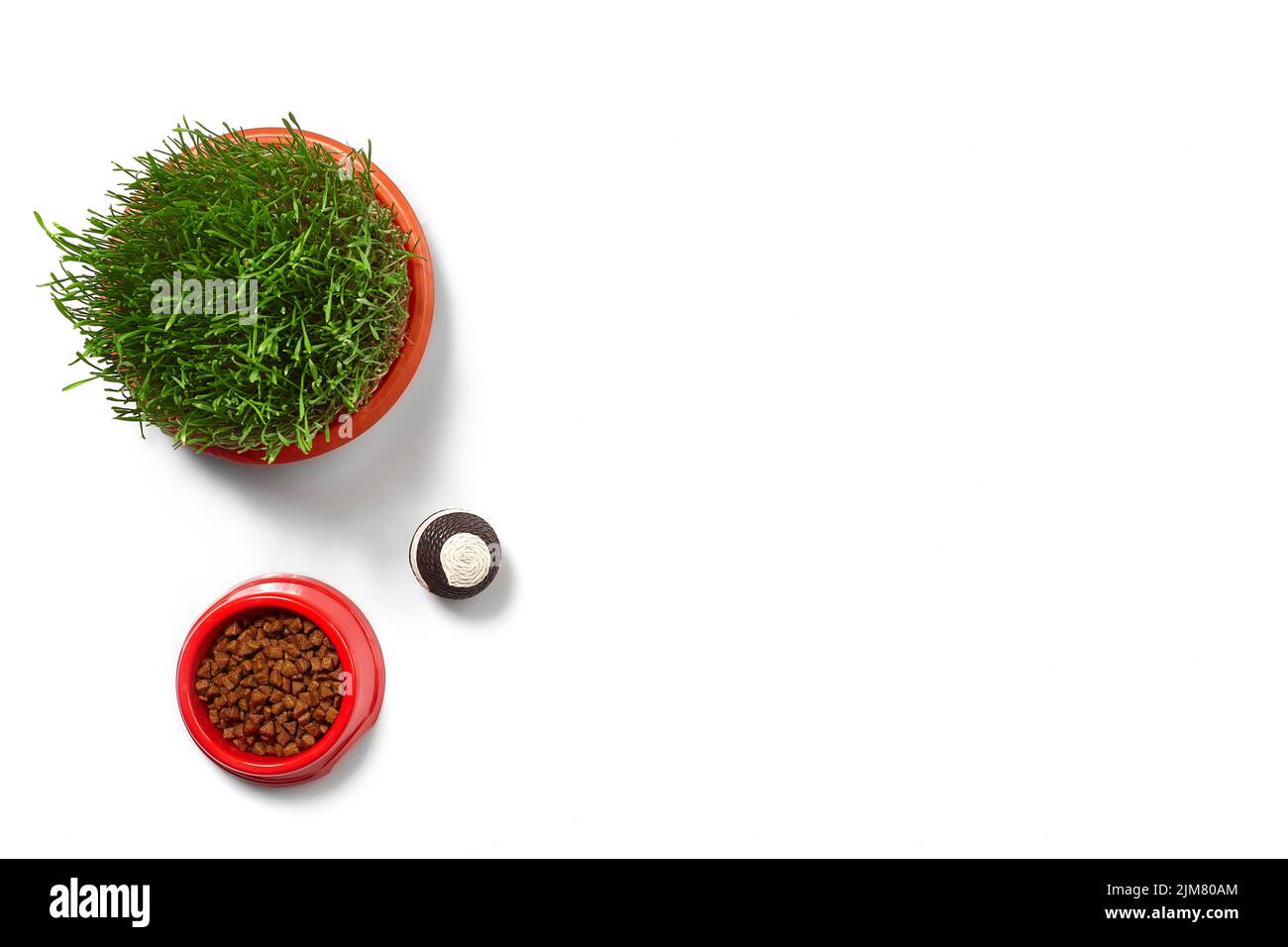 Flat lay composition with accessories for a cat isolated on white ...