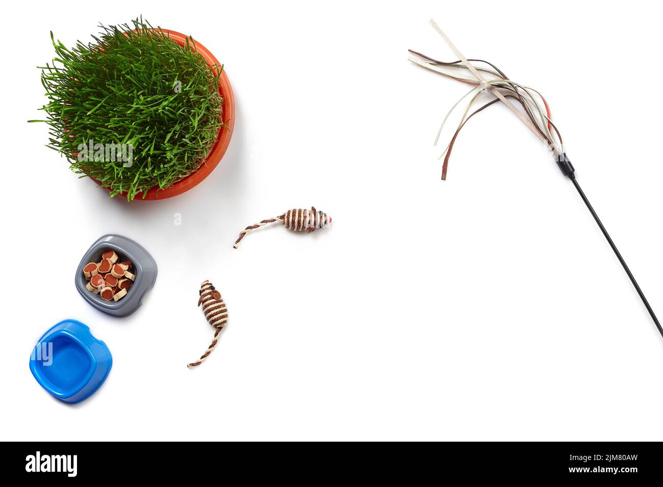 Flat lay composition with accessories for a cat isolated on white ...