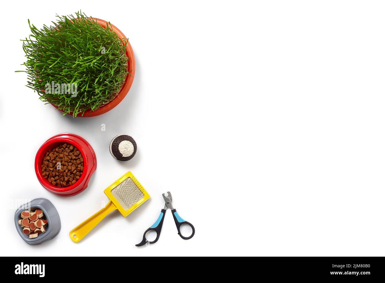 Flat lay composition with accessories for a cat isolated on white ...