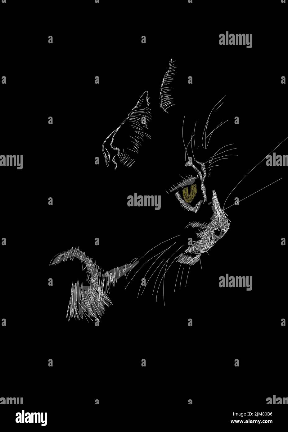 A vertical greyscale drawing of a cat portrait on a black background ...