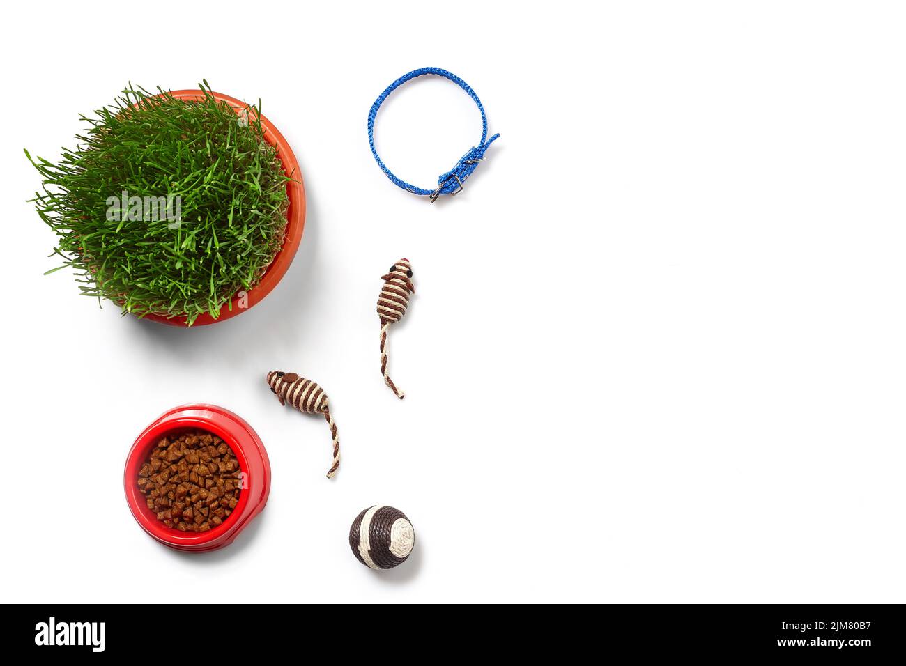 Flat lay composition with accessories for a cat isolated on white ...