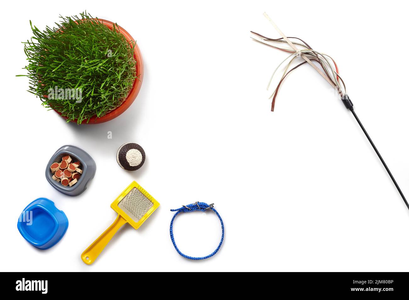 Flat lay composition with accessories for a cat isolated on white ...