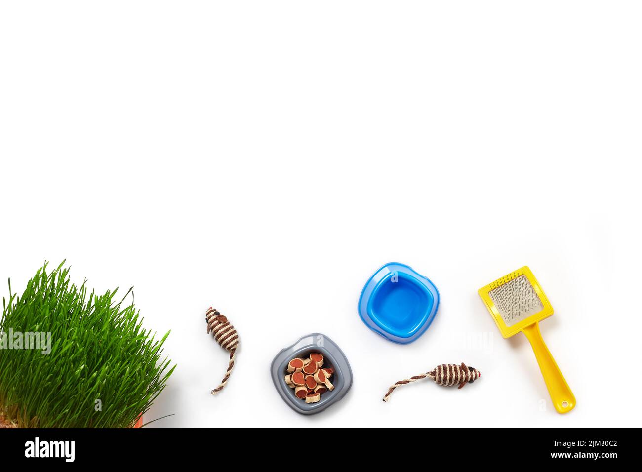 Flat lay composition with accessories for a cat isolated on white ...