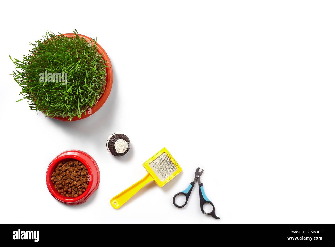 Flat lay composition with accessories for a cat isolated on white ...