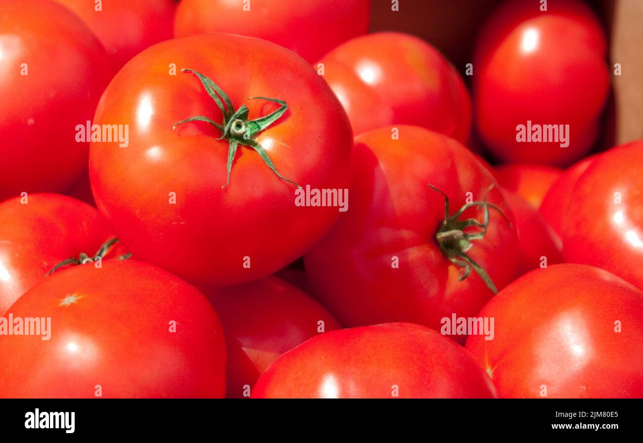 Seven tomatoes hi-res stock photography and images - Alamy