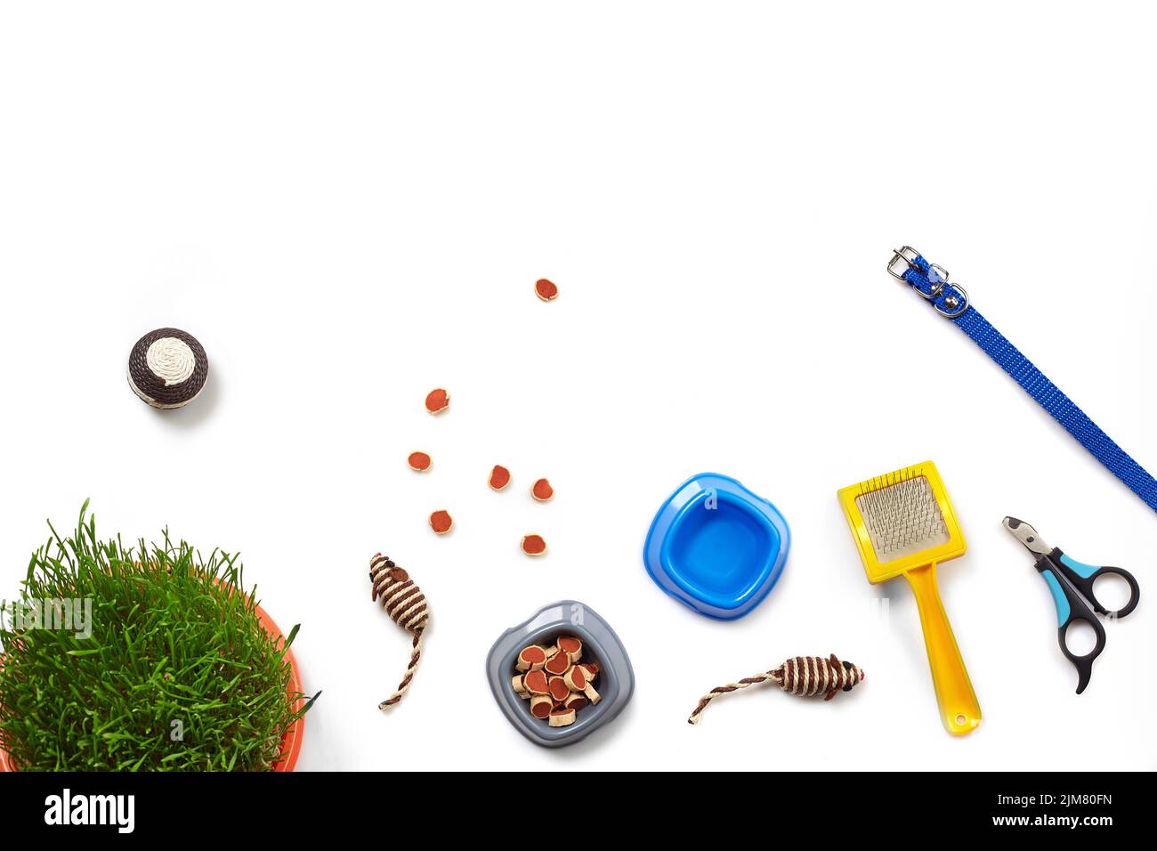 Flat lay composition with accessories for a cat isolated on white ...