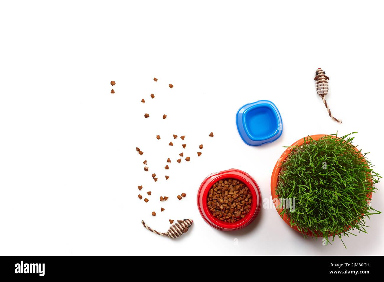 Flat lay composition with accessories for a cat isolated on white ...