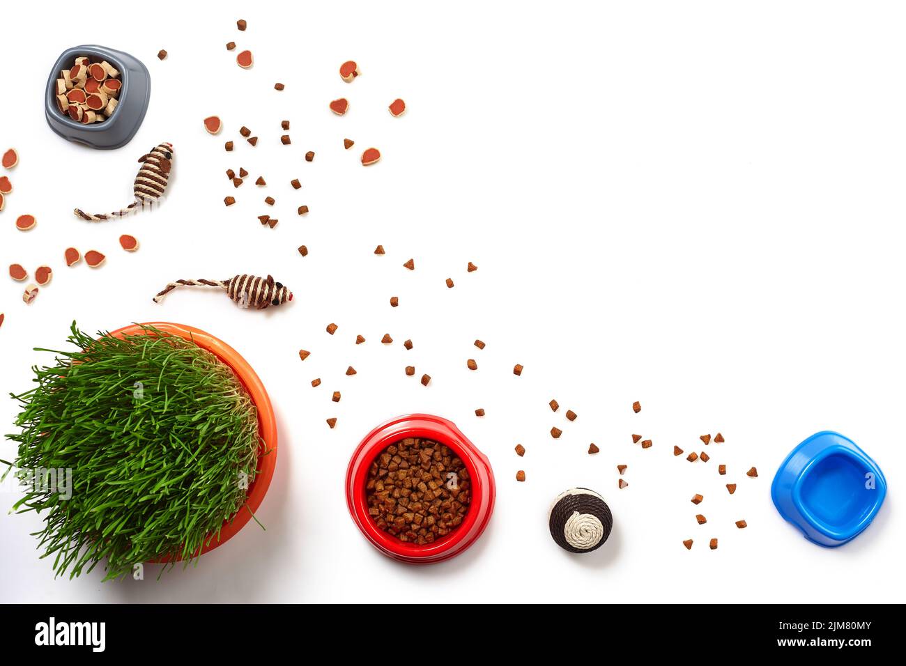 Flat lay composition with accessories for a cat isolated on white ...