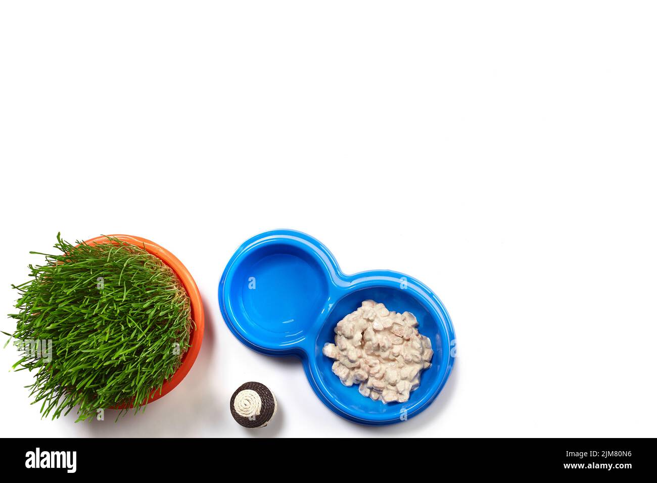 Flat lay composition with accessories for a cat isolated on white ...