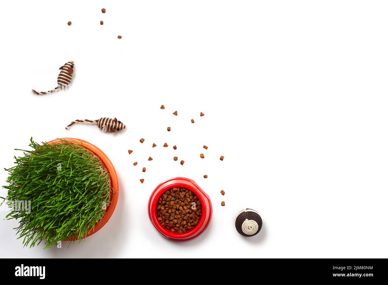 Flat lay composition with accessories for a cat isolated on white ...