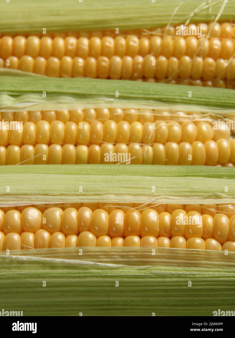 Seed corns hi-res stock photography and images - Alamy