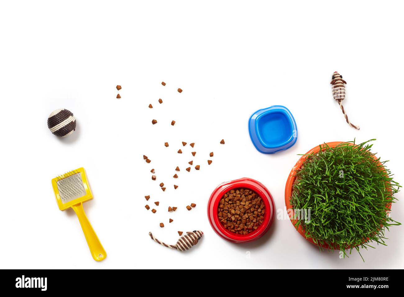 Flat lay composition with accessories for a cat isolated on white ...