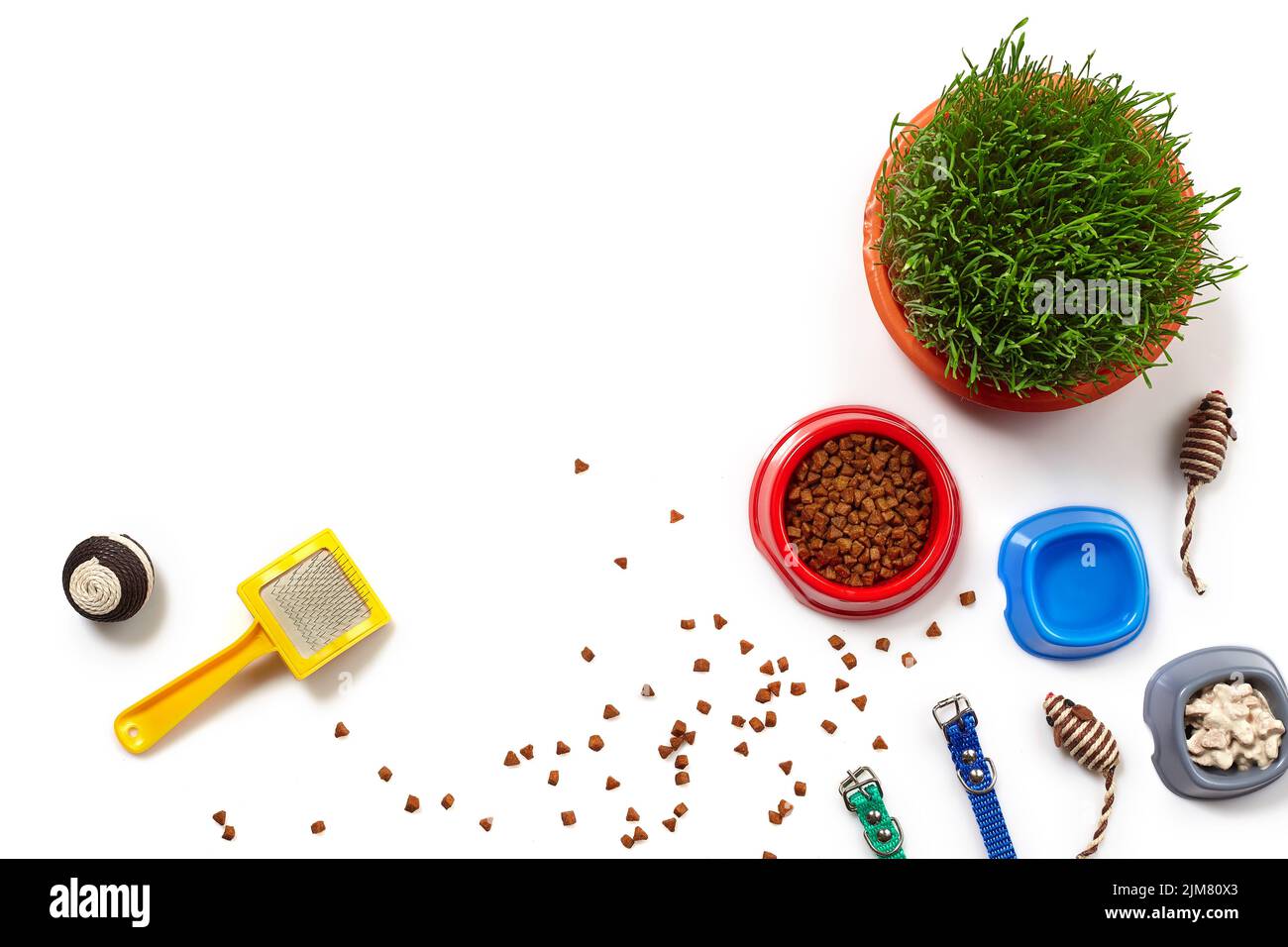 Flat lay composition with accessories for a cat isolated on white ...