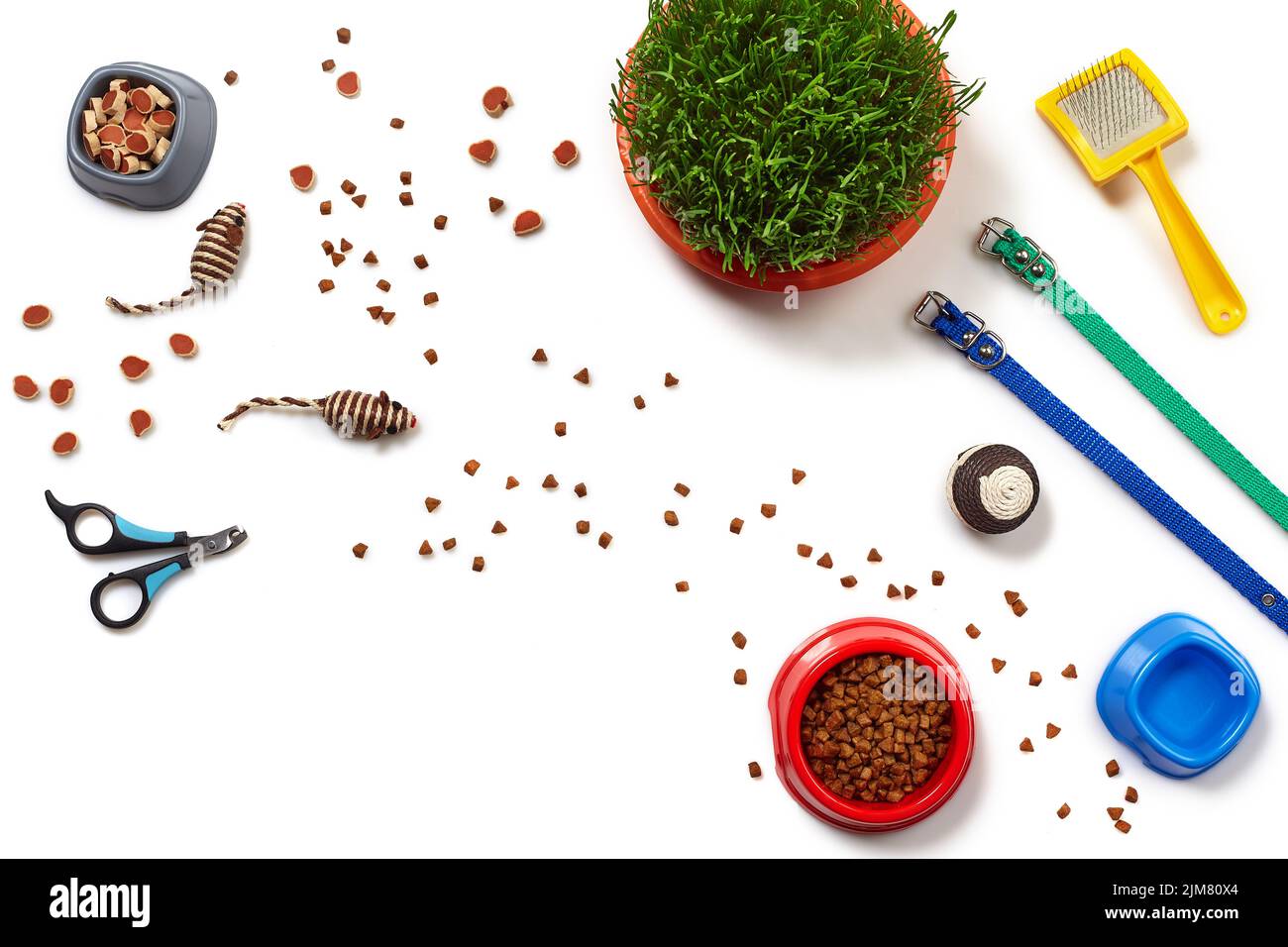 Flat lay composition with accessories for a cat isolated on white ...