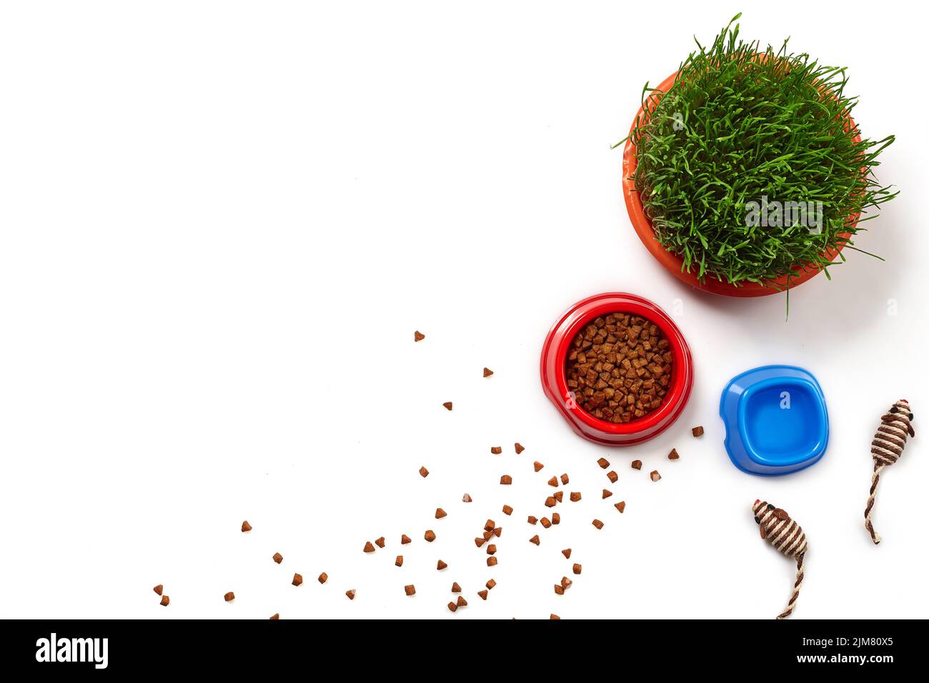 Flat lay composition with accessories for a cat isolated on white ...