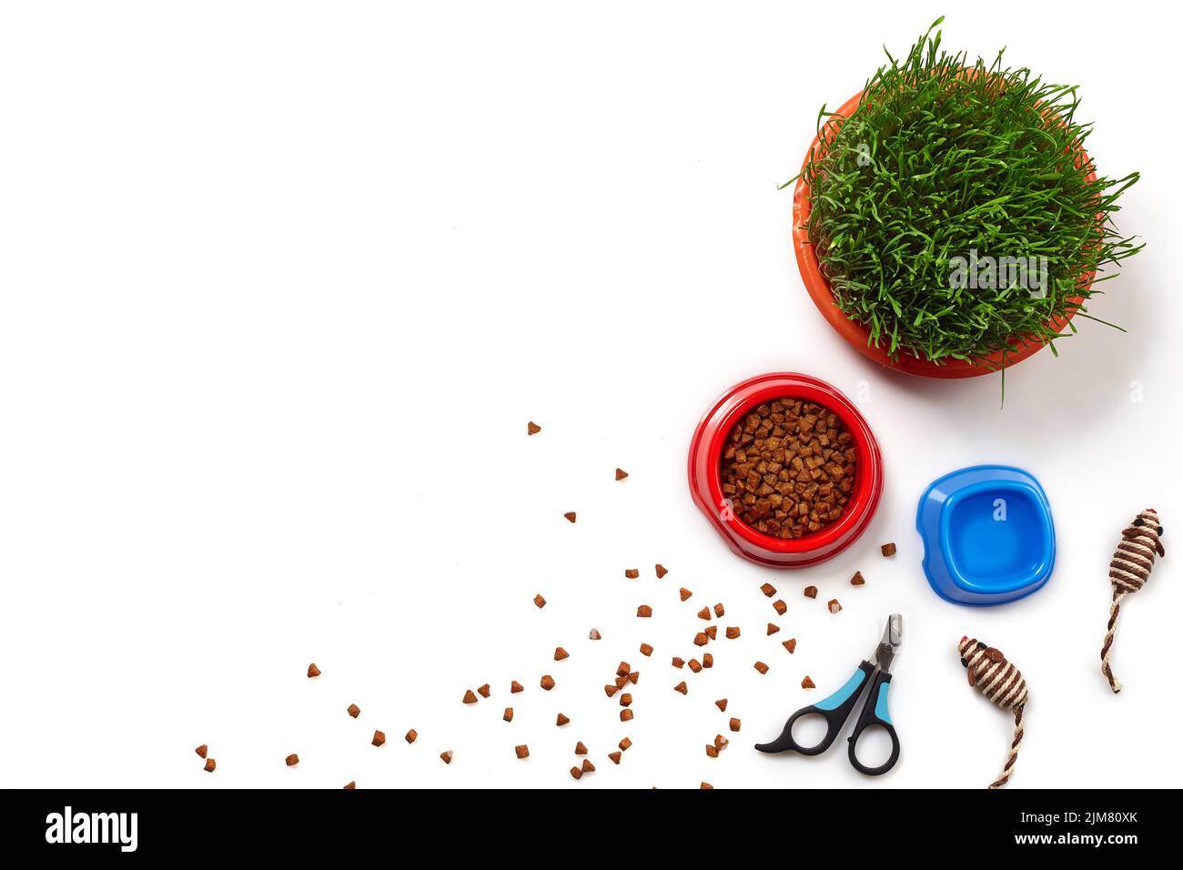 Flat lay composition with accessories for a cat isolated on white ...