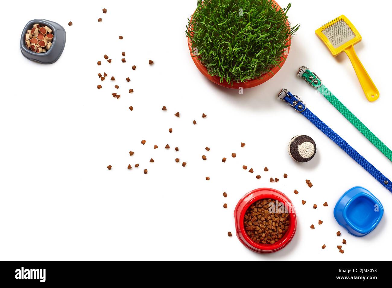 Flat lay composition with accessories for a cat isolated on white ...