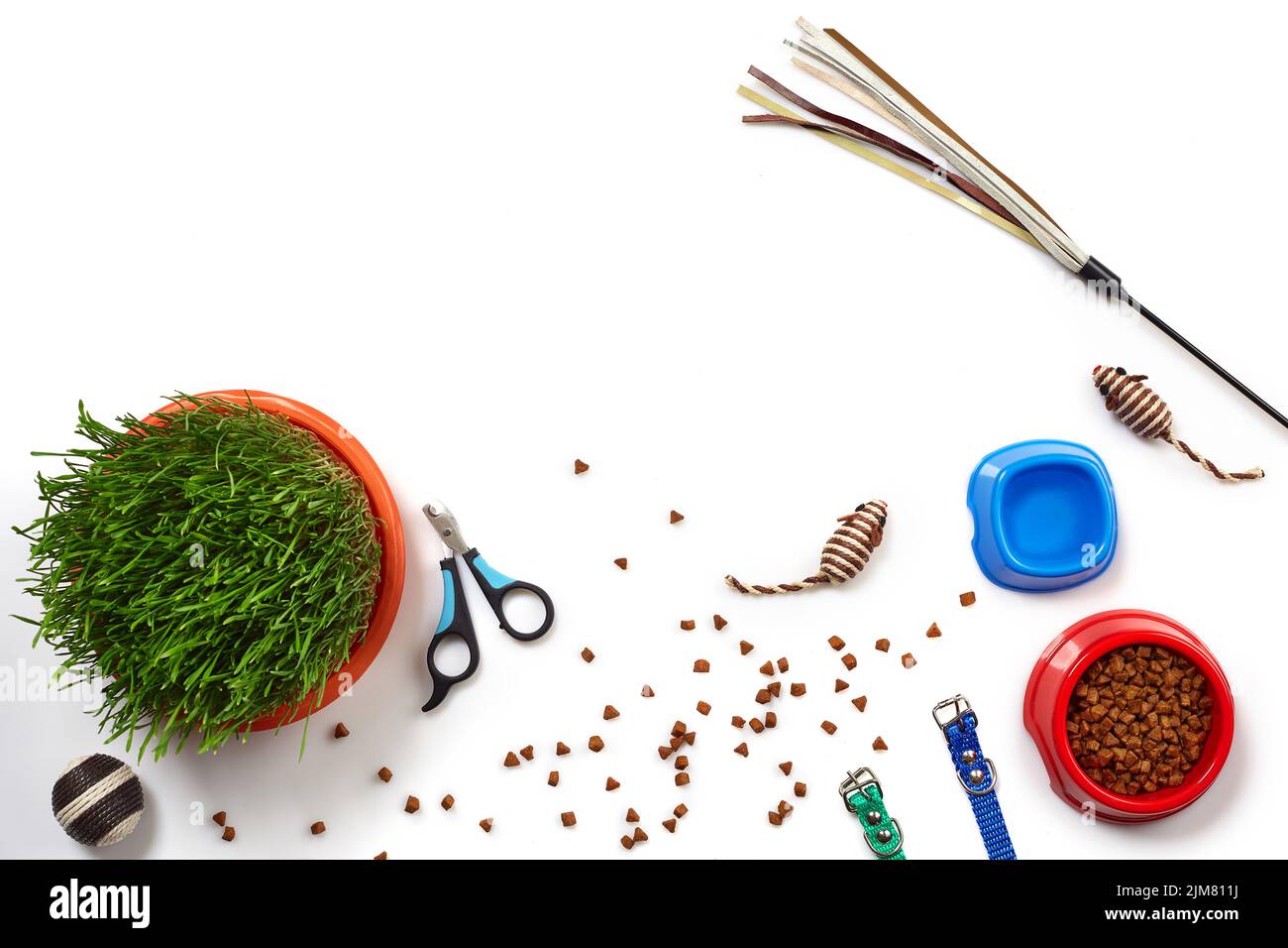 Flat lay composition with accessories for a cat isolated on white ...