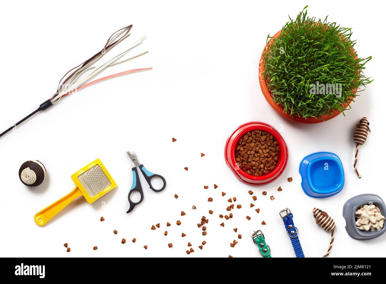 Flat lay composition with accessories for a cat isolated on white ...