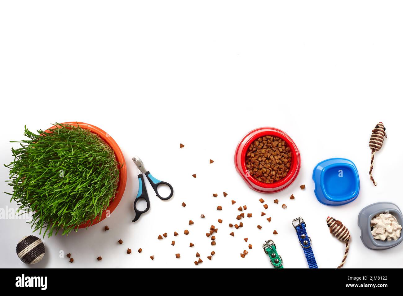 Flat lay composition with accessories for a cat isolated on white ...