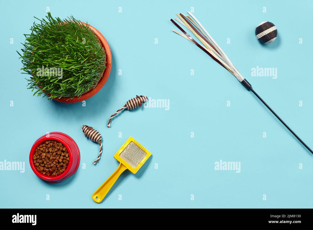 Flat lay composition with accessories for a cat on a blue background ...