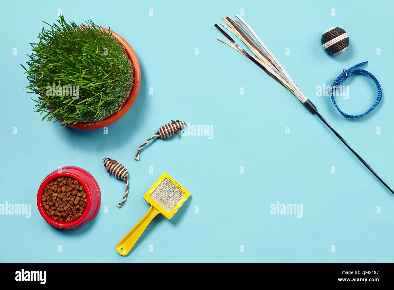 Flat lay composition with accessories for a cat on a blue background ...