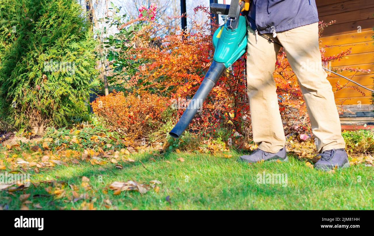The gardener holds a blower in his hands and cleans the lawn from ...