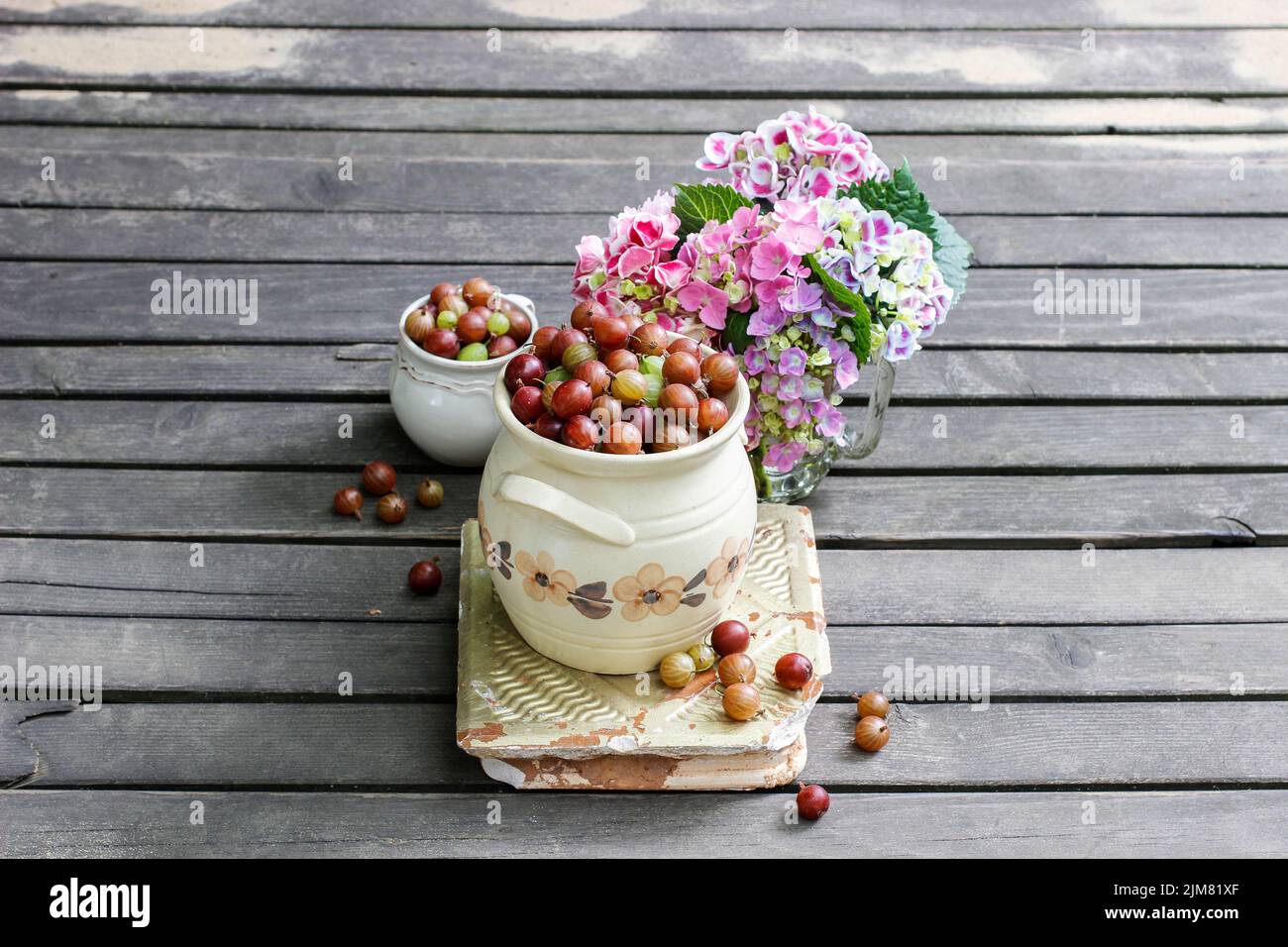 Gooseberry plant container hi-res stock photography and images - Alamy