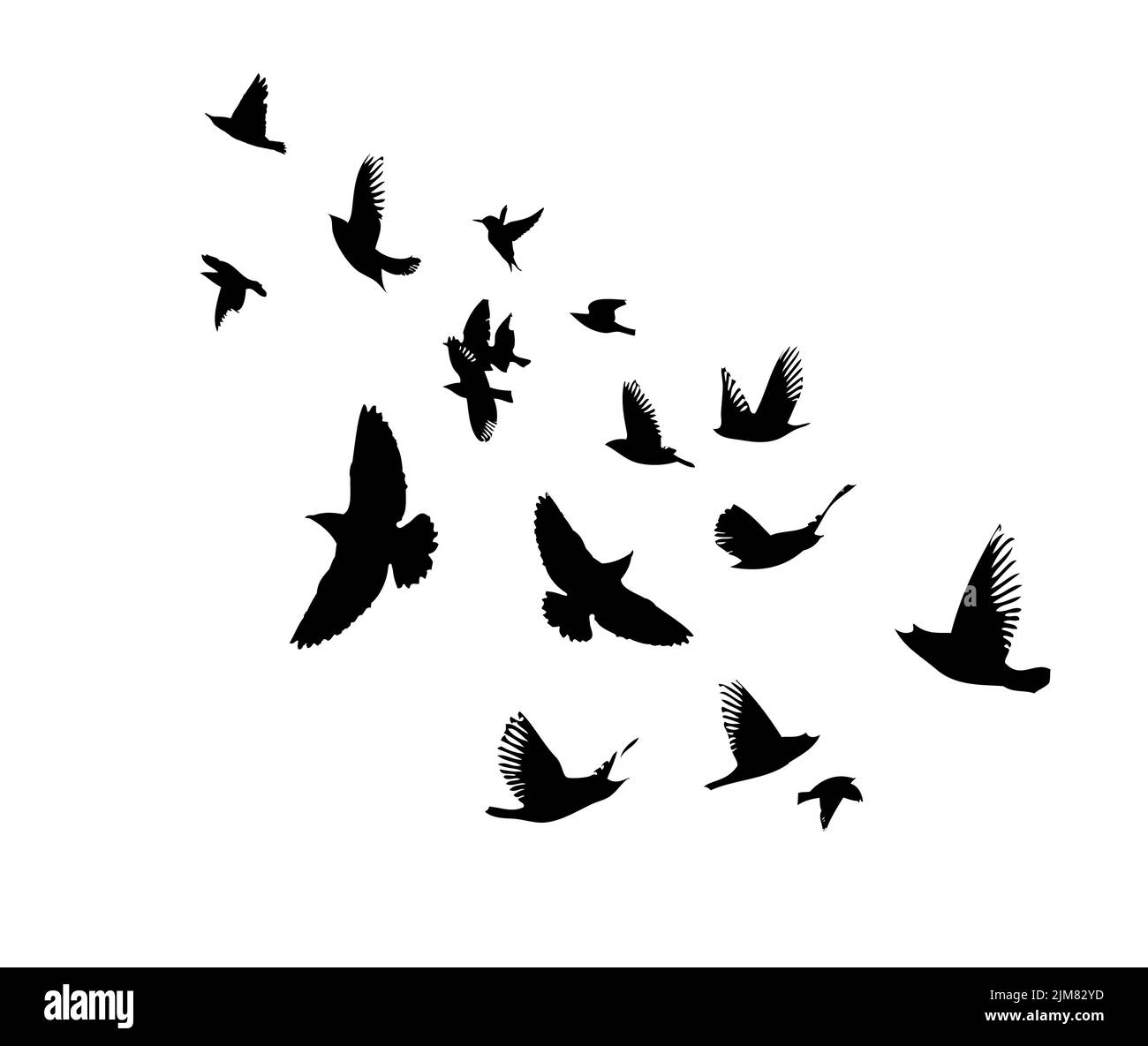 A flock of flying birds. Free birds. Vector illustration Stock Vector ...