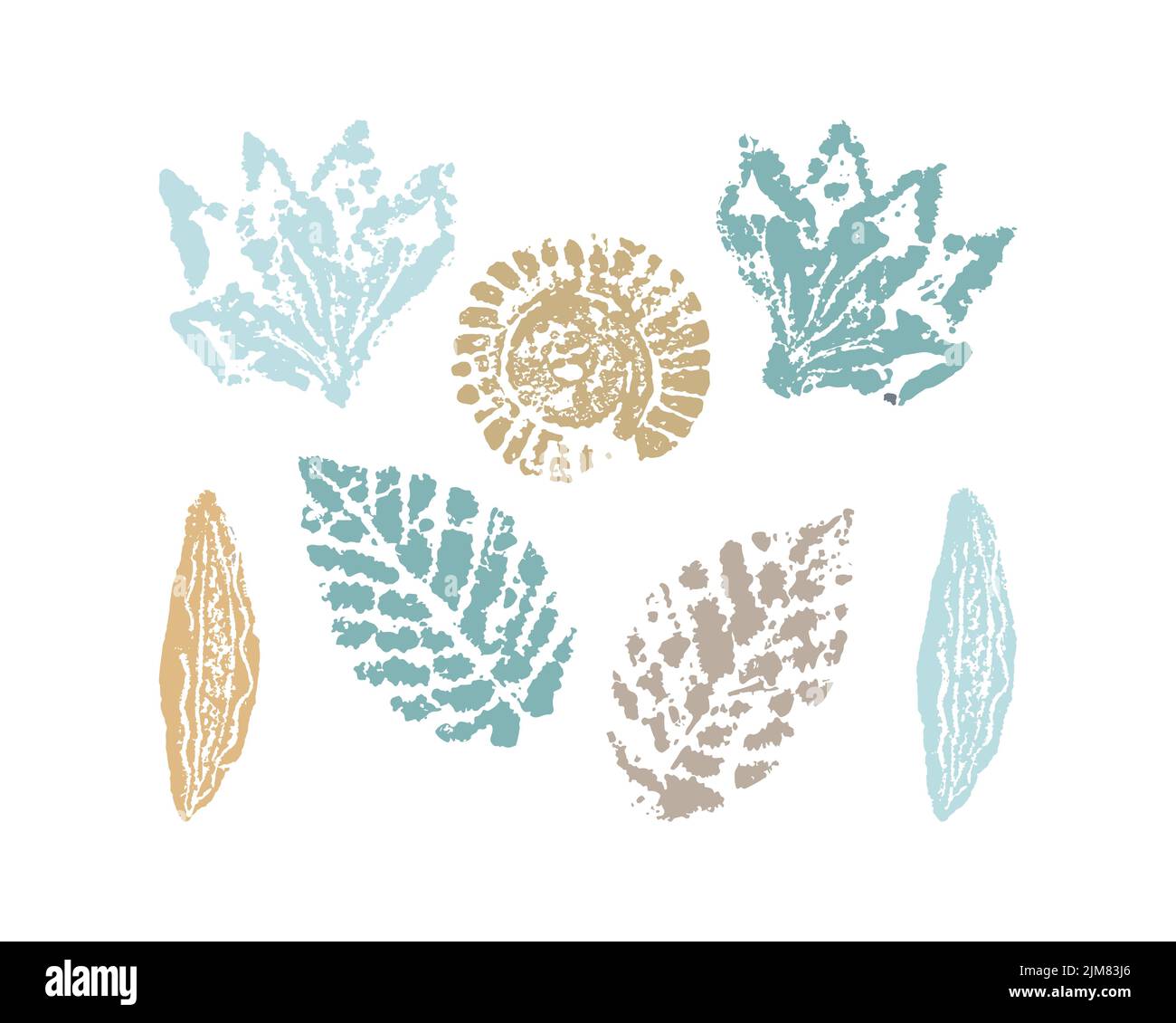 Stamp imprint set botanic leaf flowers pods, isolated. Vector ...